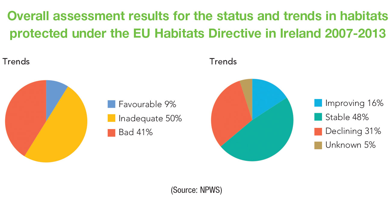 State of the Environment | Eolas Magazine