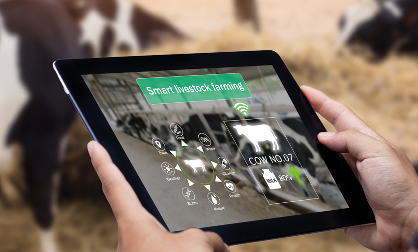 Digital by default: New ways of working in DAFM | Eolas Magazine