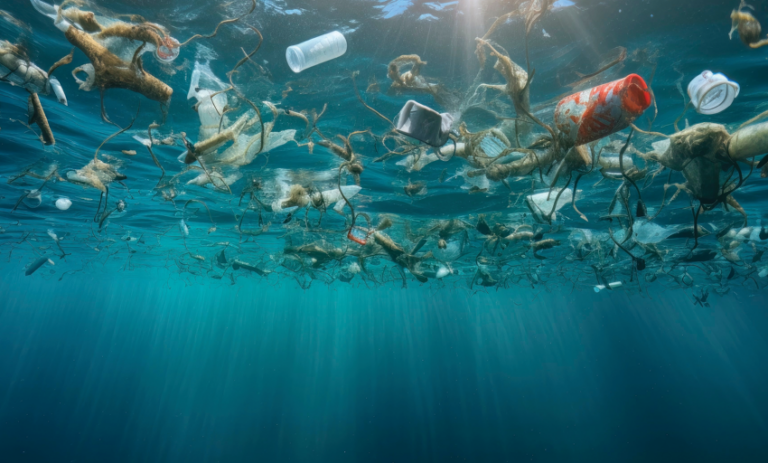 Marine litter: An under-reported problem | Eolas Magazine