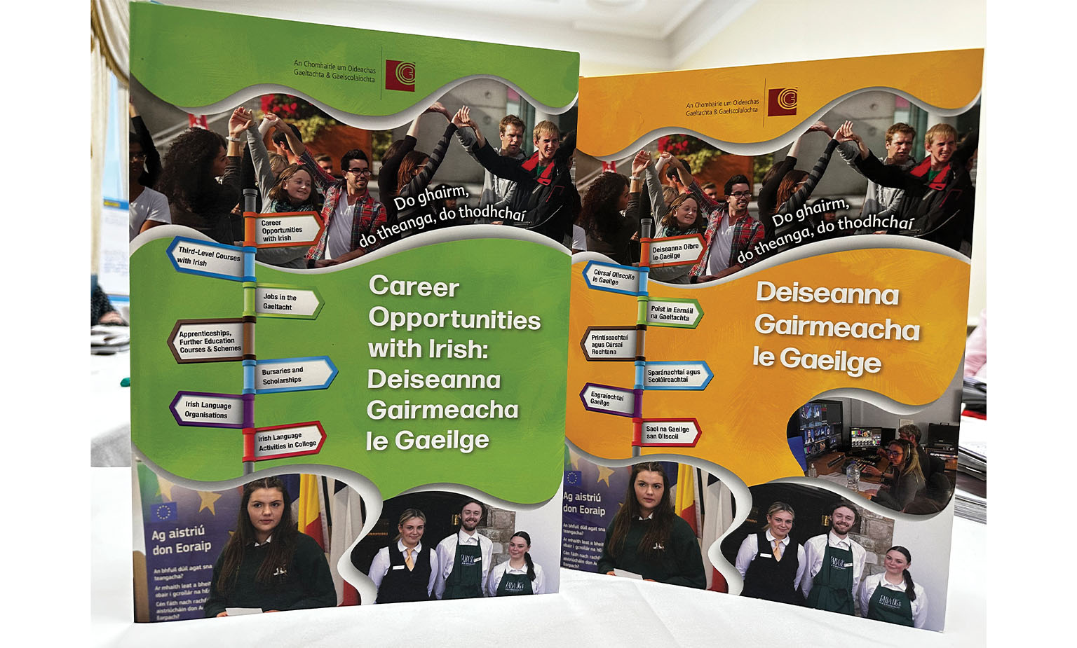 An Chomhairle um Oideachas Gaeltachta agus Gaelscolaíochta (COGG ...